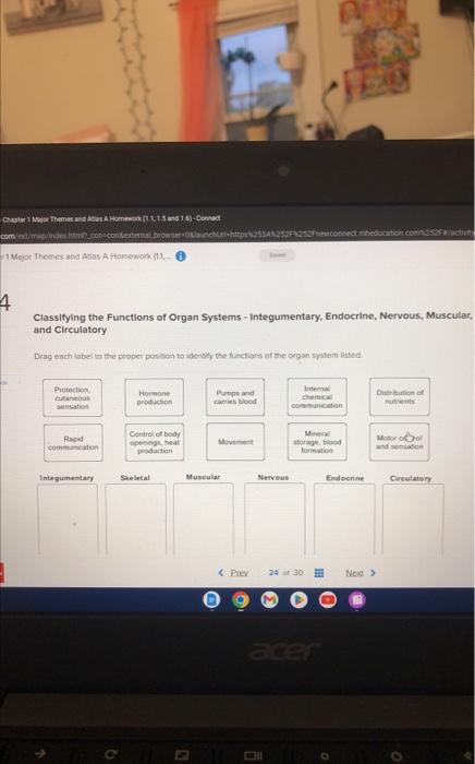 Solved Classifying the Functions of Organ Systems - | Chegg.com