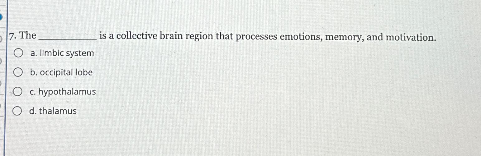 Solved The is a collective brain region that processes | Chegg.com