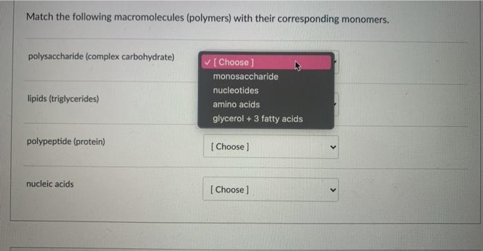 Solved Question 1 1.2 pts Match the following macromolecules | Chegg.com Solved Question 1 1.2 pts Match the following macromolecules | Chegg.com