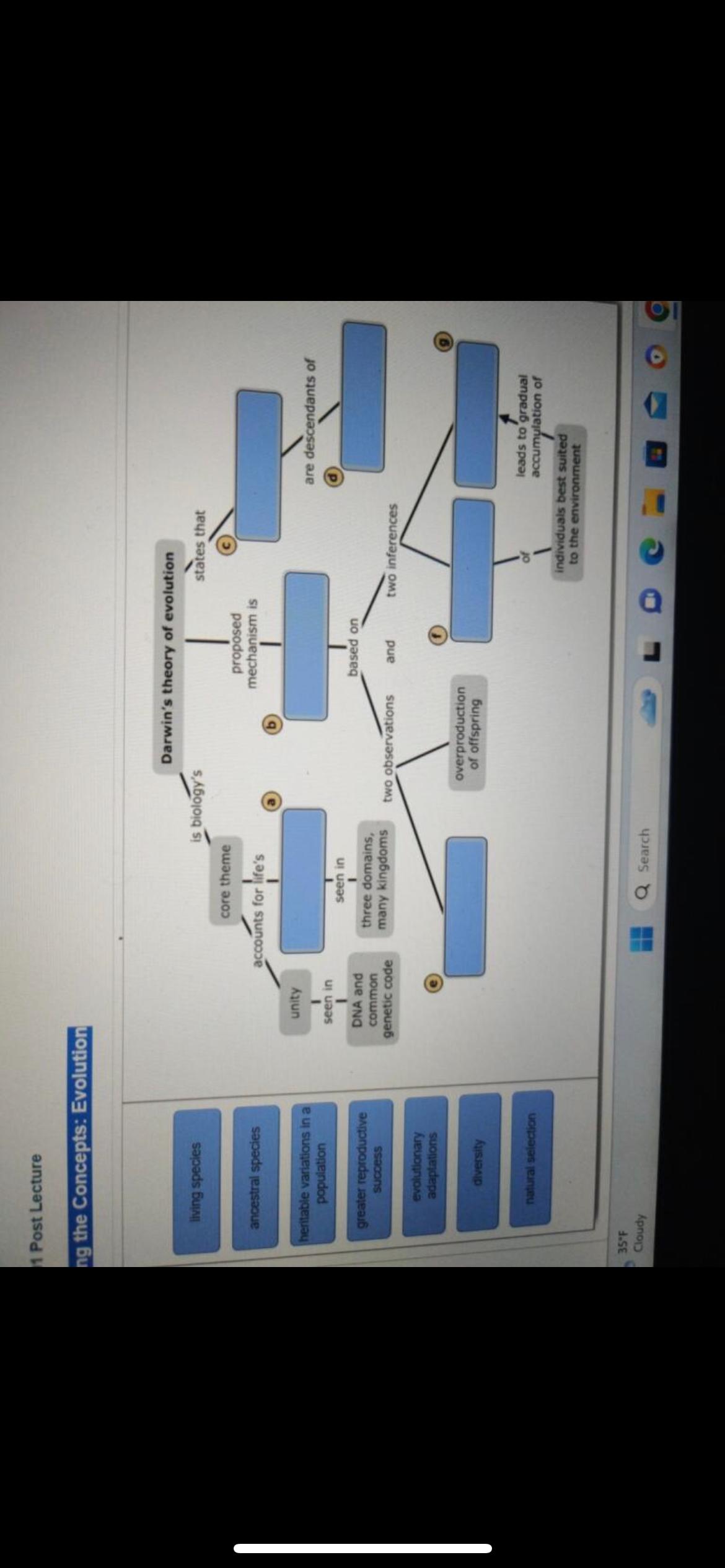 Solved 1 ﻿Post Lectureng the Concepts: | Chegg.com