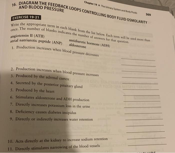 Solved DIAGRAM THE FEEDBACK LOOPS CONTROLLING BODY FLUID | Chegg.com