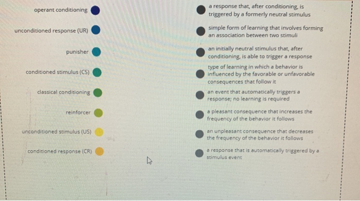 Solved operant conditioning a response that, after | Chegg.com