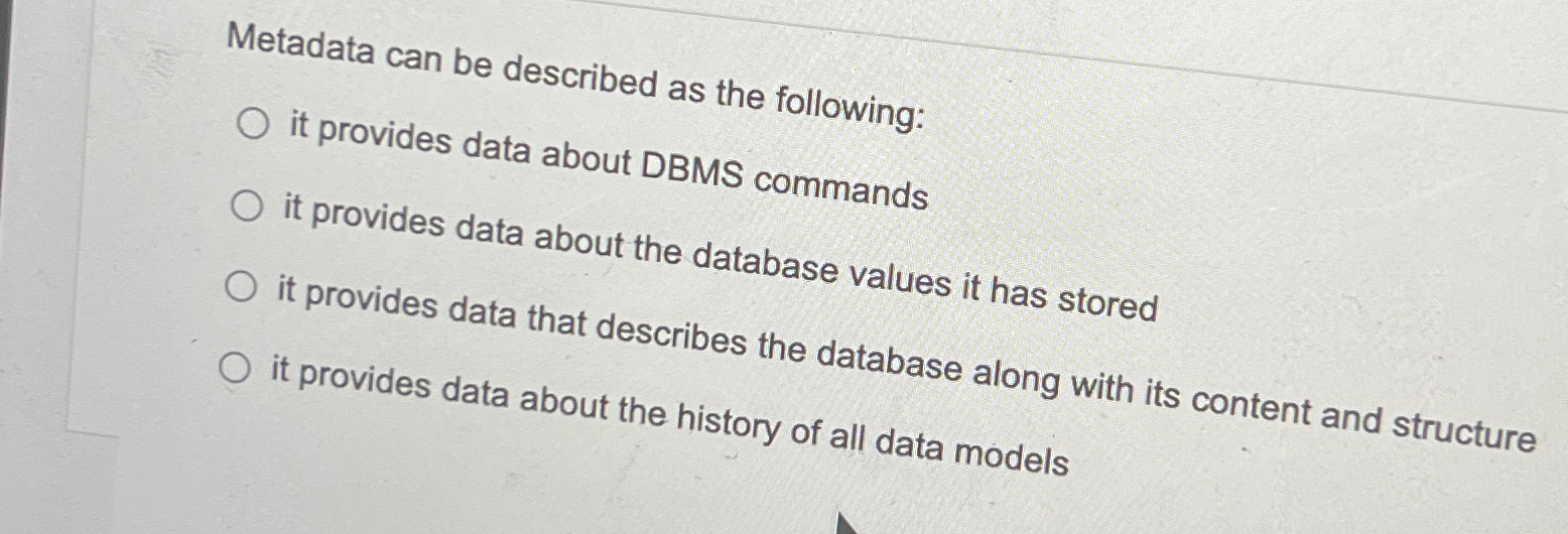 Solved Metadata can be described as the following:it | Chegg.com