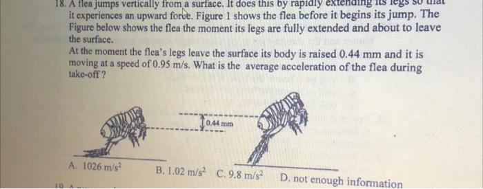 Solved legs 18. A flea jumps vertically from a surface. It | Chegg.com