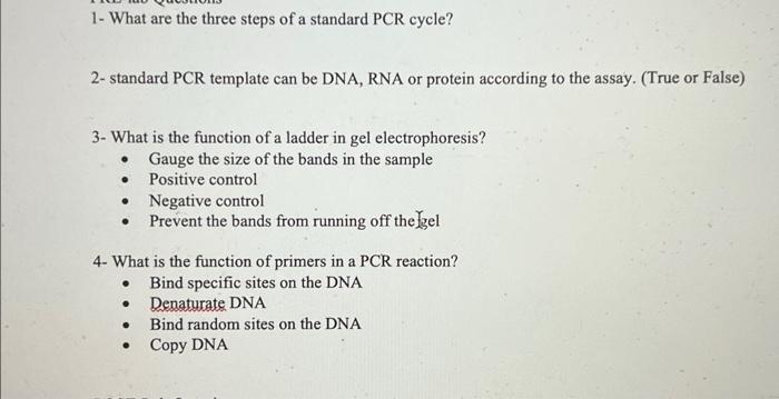 Solved 1- What are the three steps of a standard PCR cycle? | Chegg.com