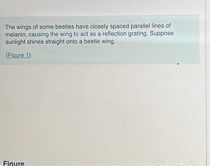 Solved The wings of some beetles have closely spaced | Chegg.com