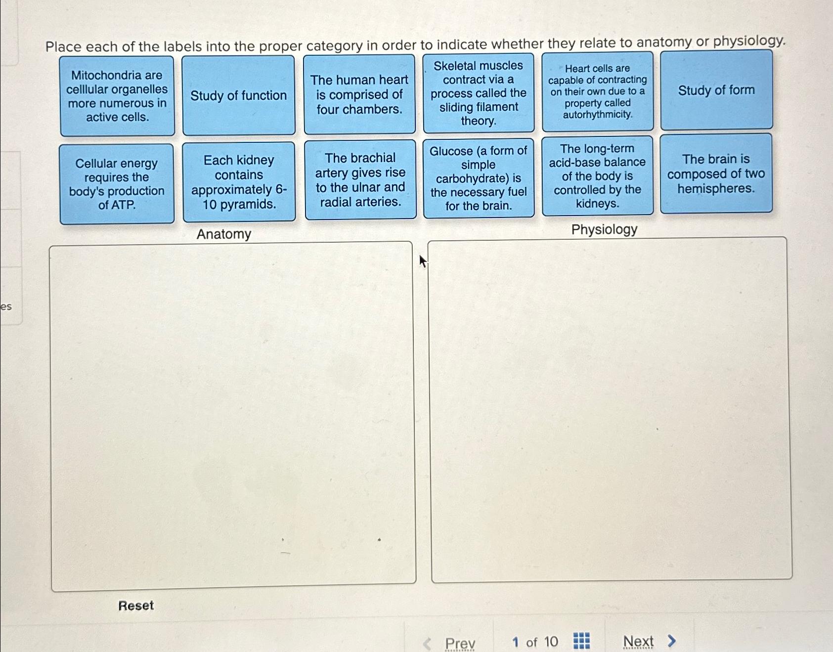 Solved Place each of the labels into the proper category in | Chegg.com