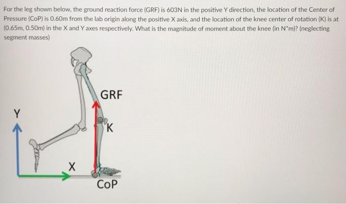 Solved For the leg shown below, the ground reaction force | Chegg.com