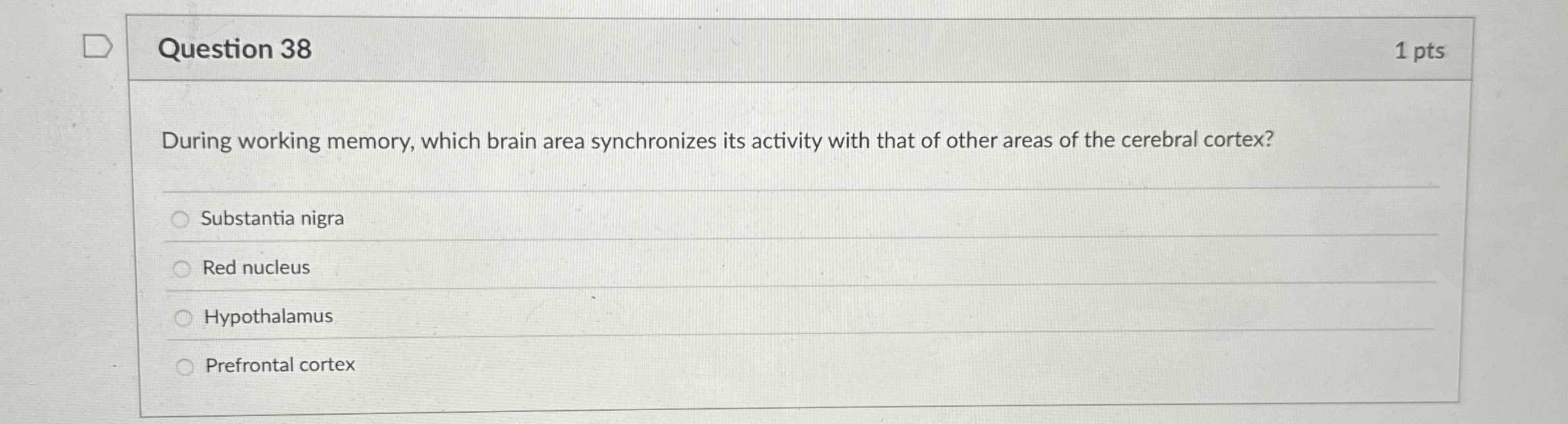 Solved Question 381 ﻿ptsDuring working memory, which brain | Chegg.com