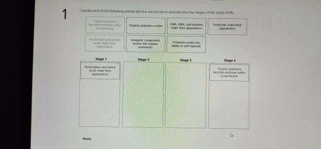 Solved Probocis-mabe they appecivancestage 1Nuckobals and | Chegg.com