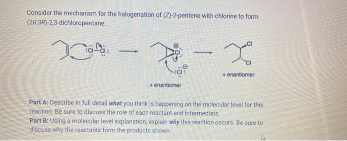 Solved Consider the mechanism for the halogenation of | Chegg.com