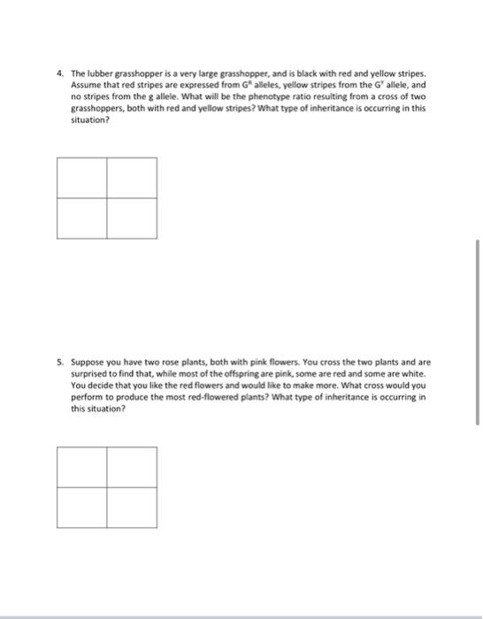 Solved Name: Lab Section: Worksheet 7: Introduction to | Chegg.com Solved Name: Lab Section: Worksheet 7: Introduction to | Chegg.com
