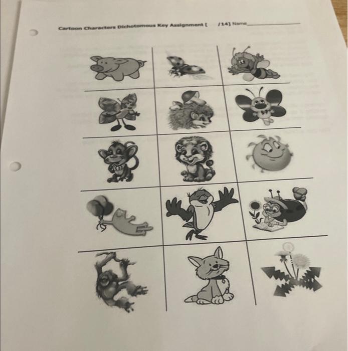 Cartoon Characters Dichotomous Mey Aasignment t. (14) | Chegg.com