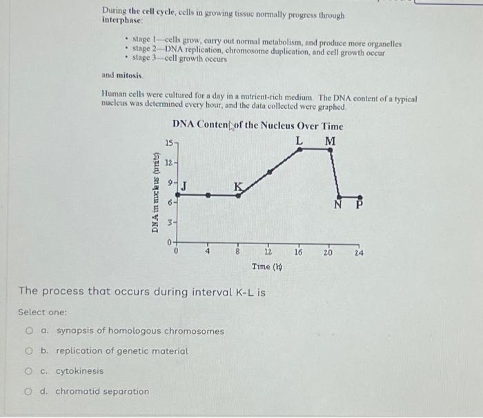 Solved During the cell cycle, cells in growing tissue | Chegg.com