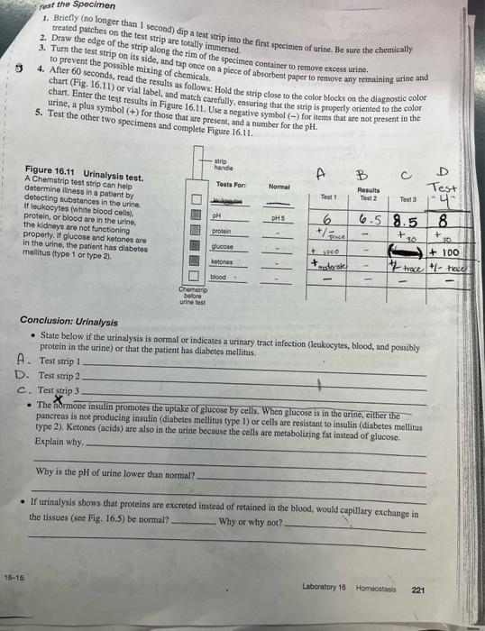 Solved 1. Briefly (no longer than I second) dip a test strip | Chegg.com