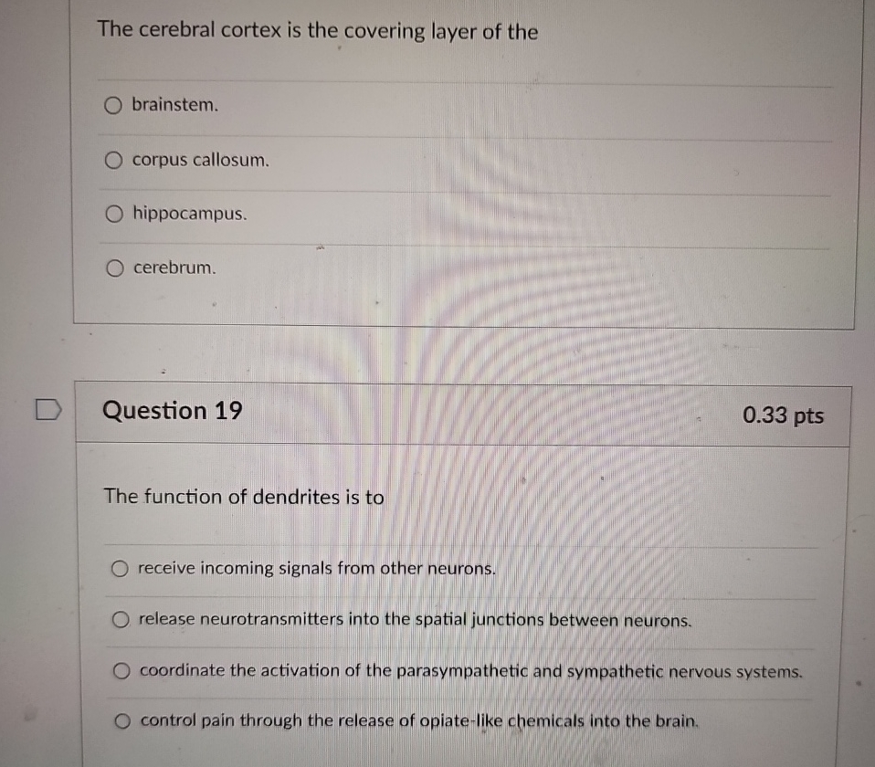Solved The cerebral cortex is the covering layer of | Chegg.com
