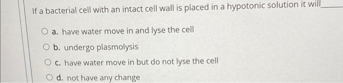 Solved If a bacterial cell with an intact cell wall is | Chegg.com