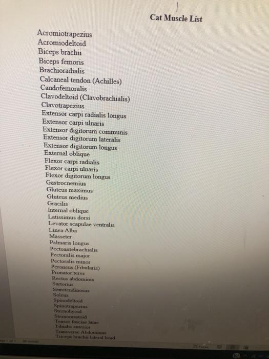 Solved Cat Muscle List Acromiotrapezius Acromiodeltoid | Chegg.com