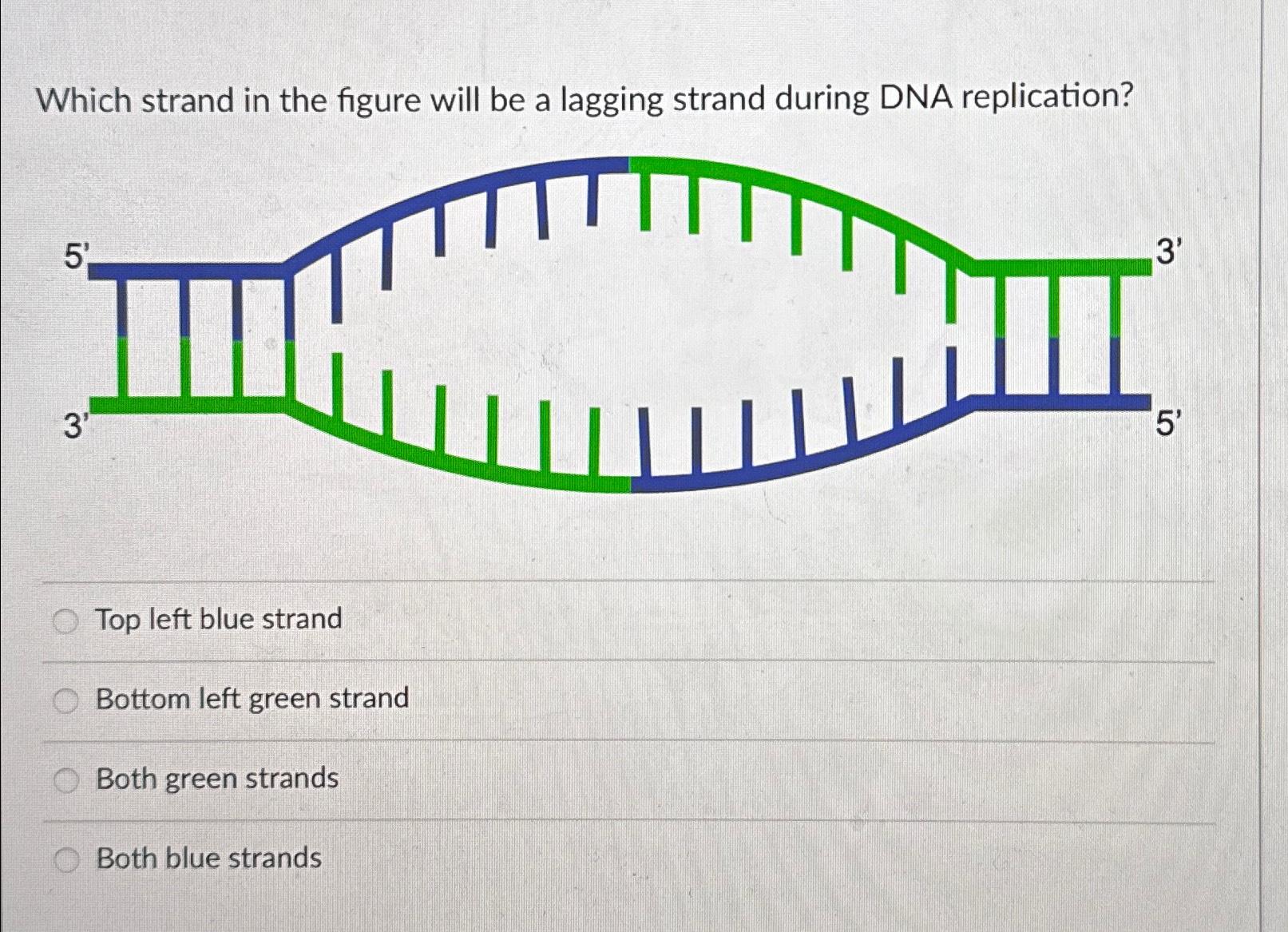 Solved Which strand in the figure will be a lagging strand | Chegg.com