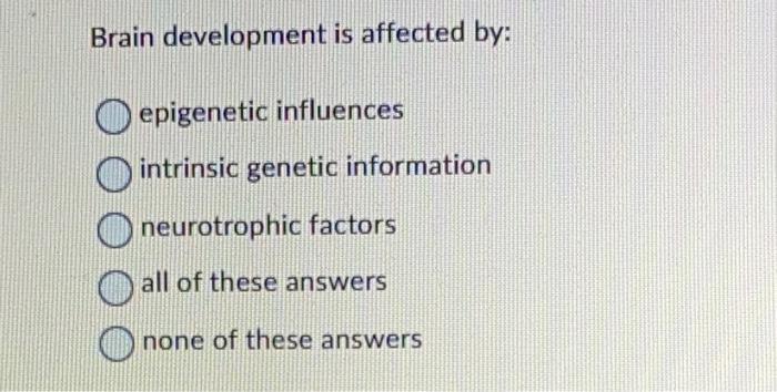 Solved Brain development is affected by: epigenetic | Chegg.com