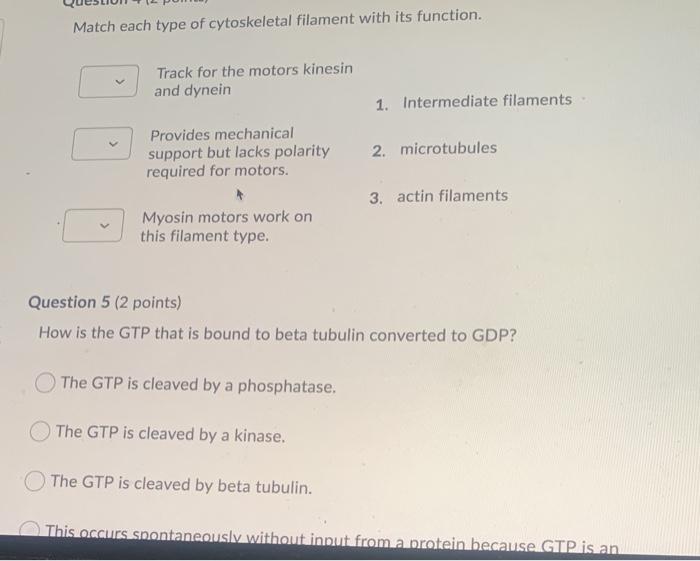 Solved Match each type of cytoskeletal filament with its | Chegg.com