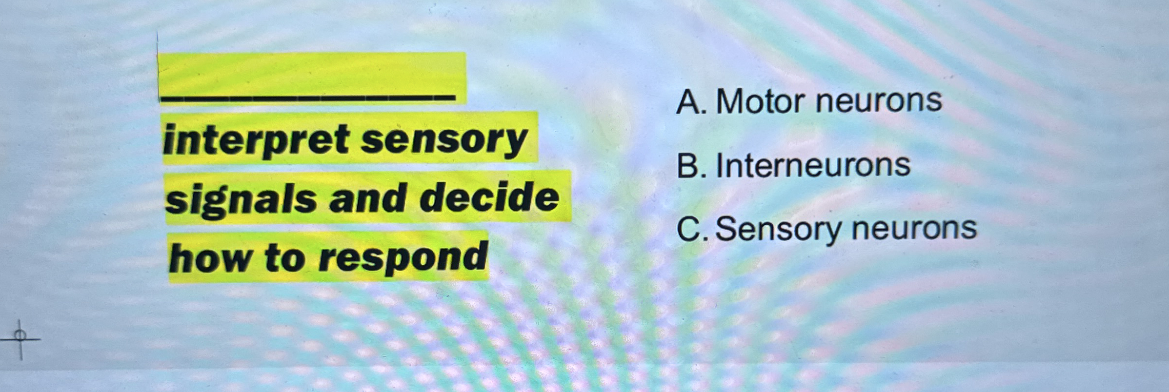 Solved interpret sensoryA. ﻿Motor neuronssignals and | Chegg.com
