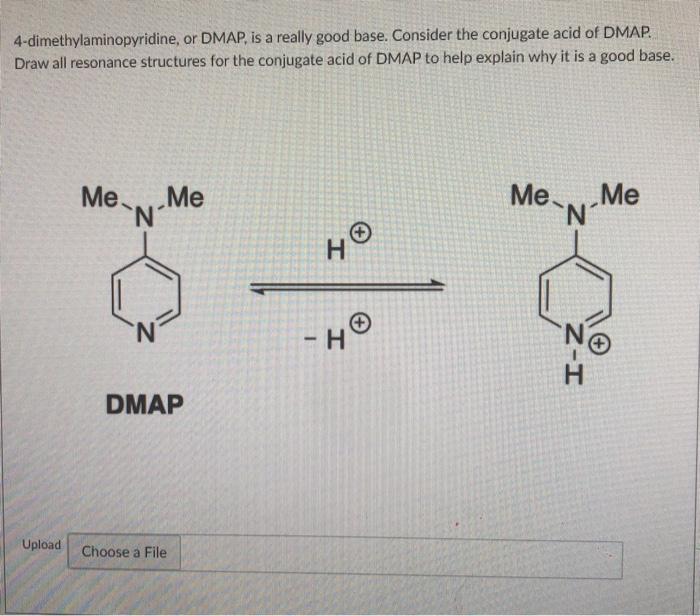 Solved 4-dimethylaminopyridine, or DMAP, is a really good | Chegg.com