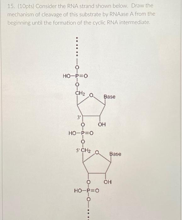 Solved Consider the RNA strand shown below. Draw the | Chegg.com