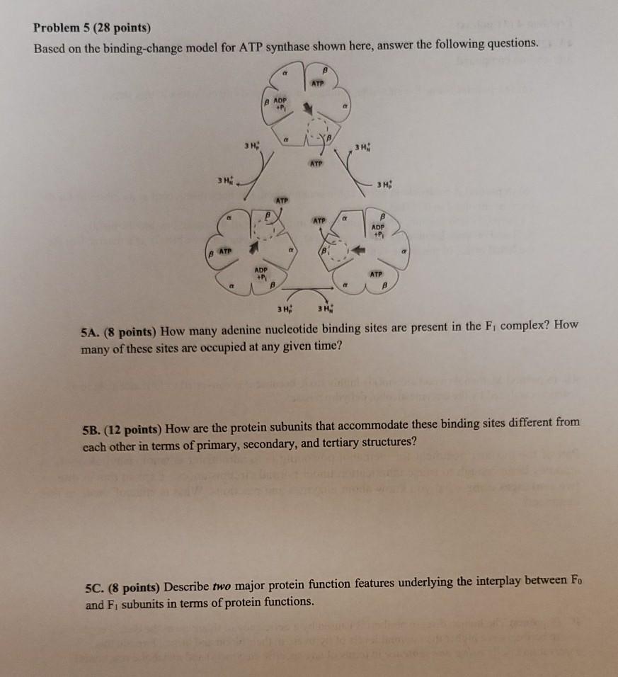 Solved Problem 5 (28 points) Based on the binding-change | Chegg.com
