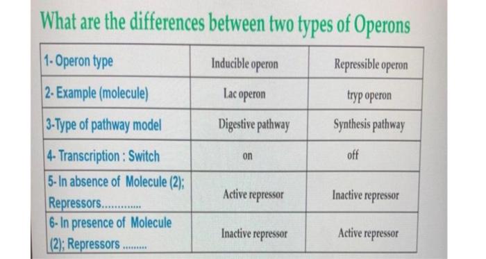 Solved examples of operons in bacteria 1-Inducible operon ( | Chegg.com