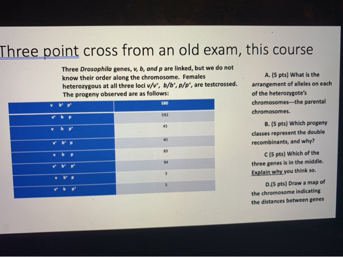 Solved Three point cross from an old exam, this course Three | Chegg.com