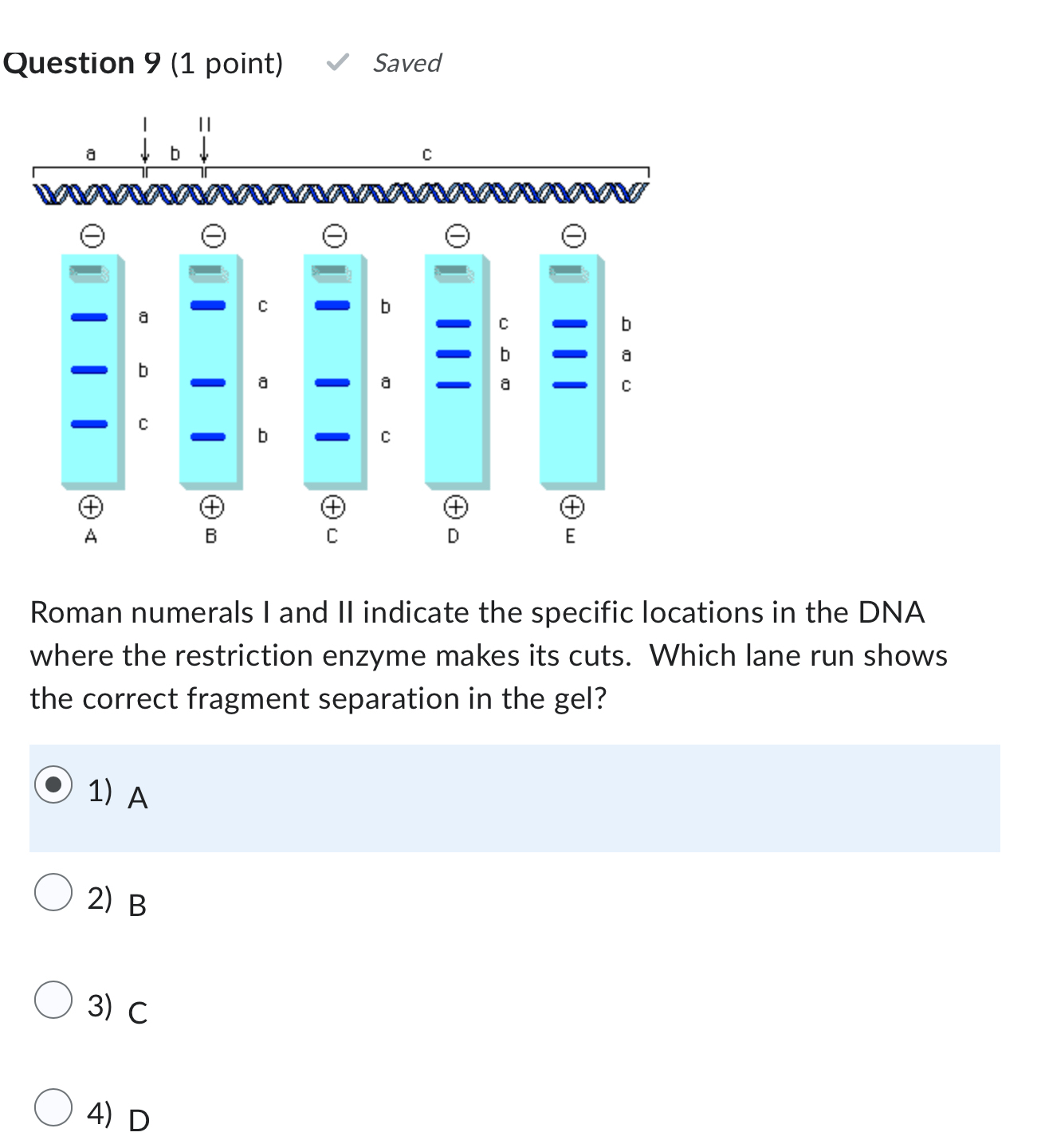 Solved Question 9 (1 ﻿point) ﻿SavedRoman numerals I and II | Chegg.com