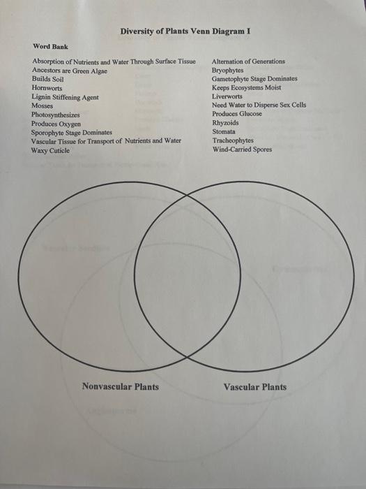 Solved Diversity of Plants Venn Diagram I | Chegg.com