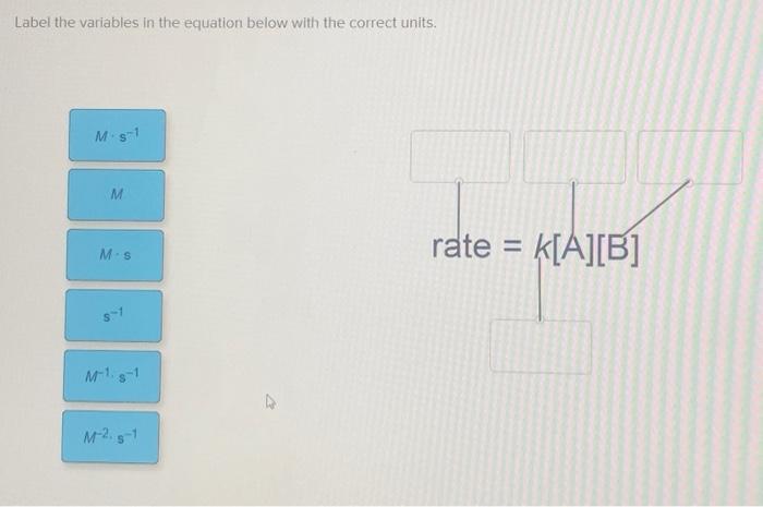Solved Label the variables in the equation below with the | Chegg.com