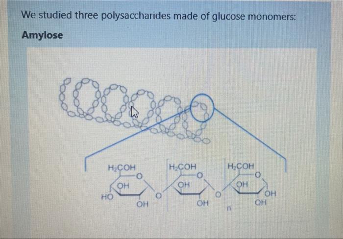 Solved We studied three polysaccharides made of glucose | Chegg.com