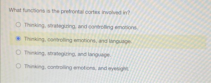 Solved What functions is the prefrontal cortex involved in? | Chegg.com