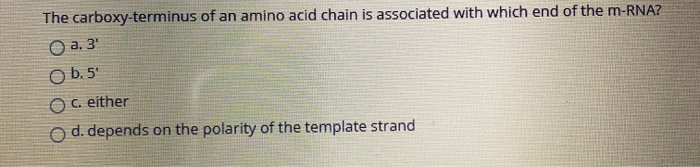 Solved The carboxy tail domain (CTD) of RNA polymerase Il | Chegg.com
