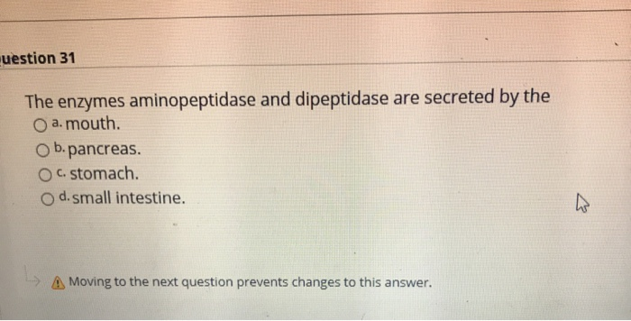 Solved uestion 31 The enzymes aminopeptidase and dipeptidase | Chegg.com