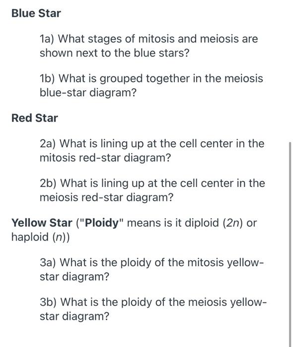 Solved MITOSIS MEIOSISI MEIOSIS II Blue Star 1a) What stages | Chegg.com