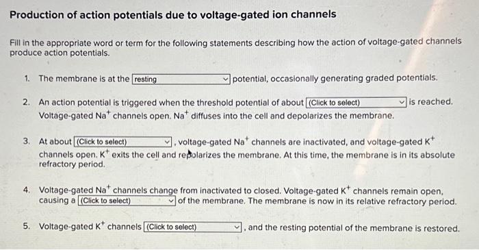 Solved Production of action potentials due to voltage-gated | Chegg.com