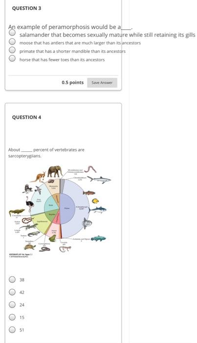Solved QUESTION 3 OOOO An example of peramorphosis would be | Chegg.com
