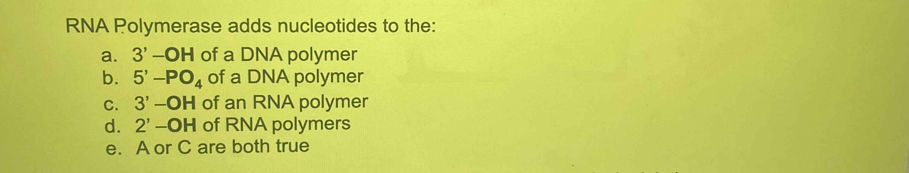 Solved RNA Polymerase adds nucleotides to the:a. 3' -OH of a | Chegg.com