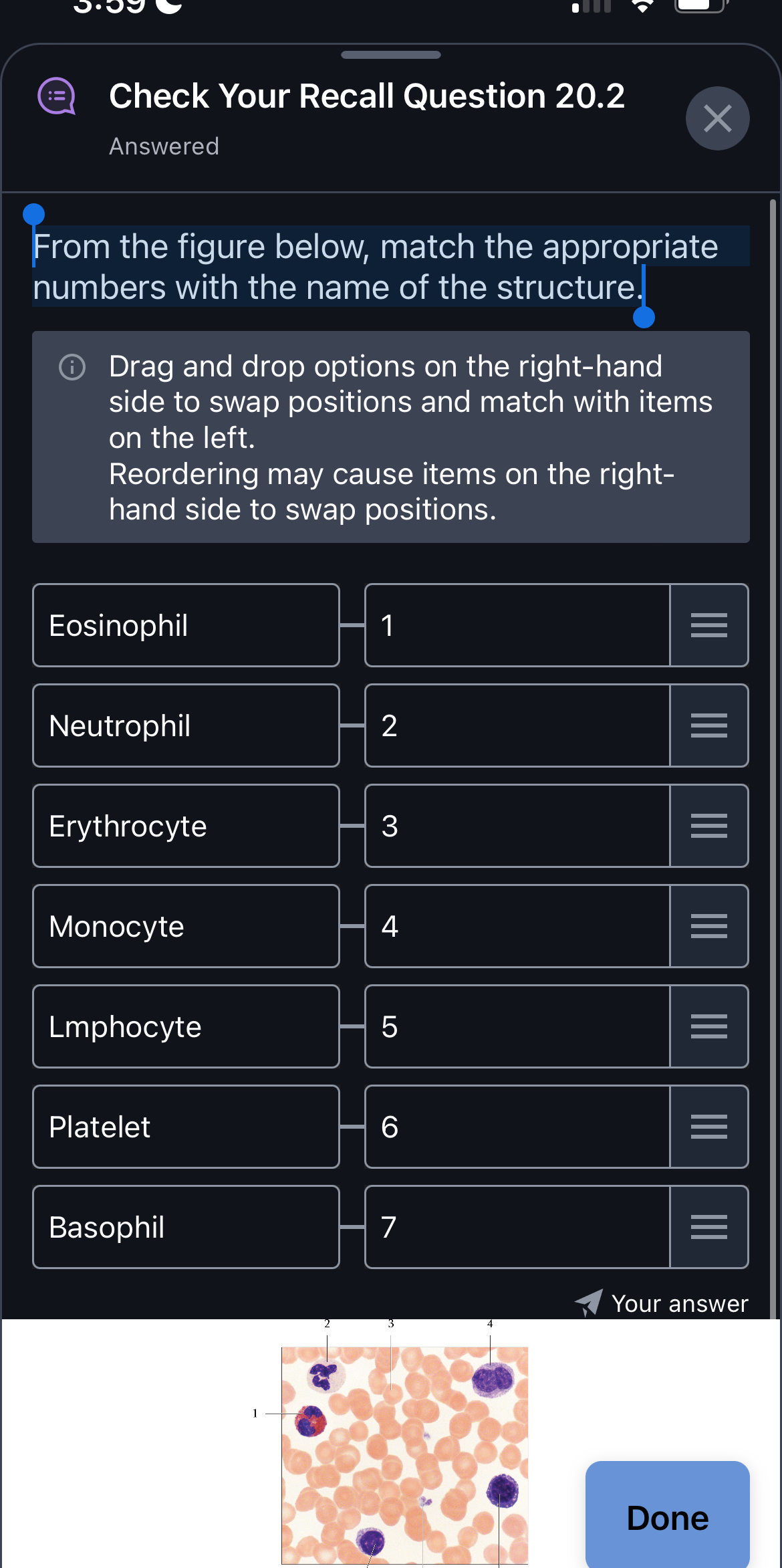 Solved () ﻿Check Your Recall Question 20.2AnsweredFrom the | Chegg.com