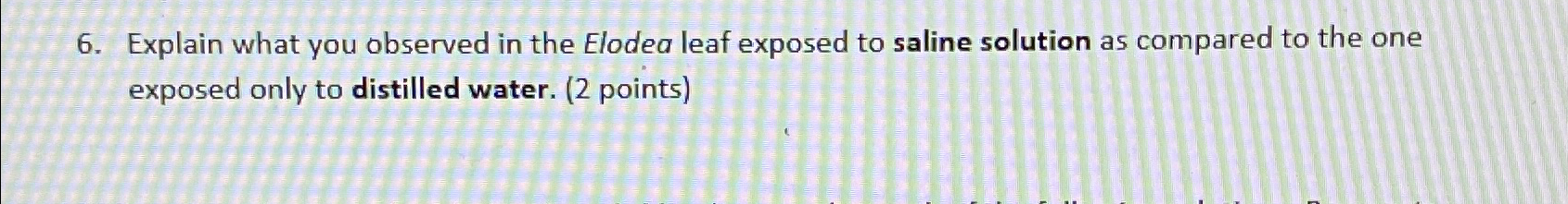 Solved Explain what you observed in the Elodea leaf exposed | Chegg.com
