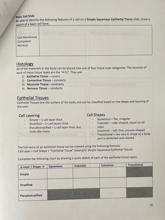 Solved Basic Cell Slide Be able to identify the following | Chegg.com