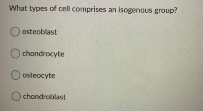 Solved What types of cell comprises an isogenous group? | Chegg.com
