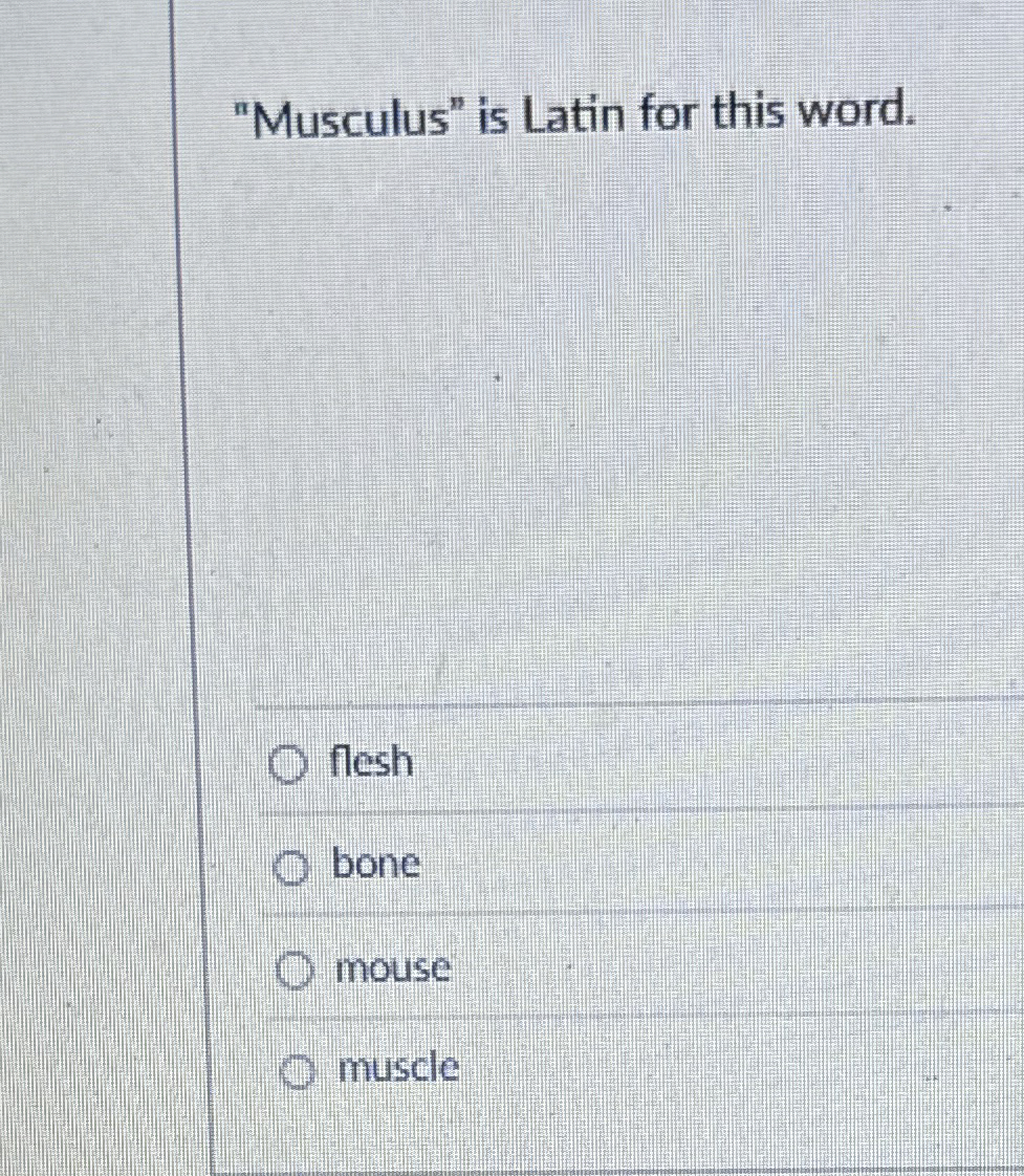 Solved "Musculus" is Latin for this | Chegg.com