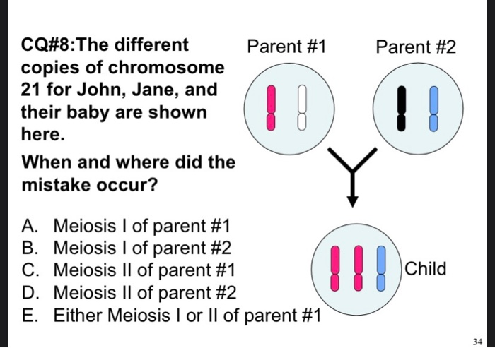 Solved CQ#8:The different Parent #1 Parent #2 copies of | Chegg.com