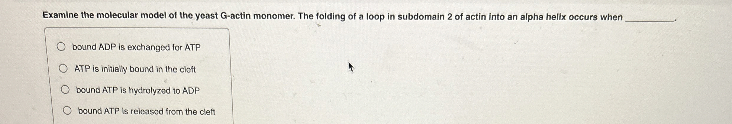 Solved Examine the molecular model of the yeast G-actin | Chegg.com