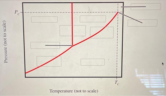 Solved Label the features of the phase diagram. Answer Bank | Chegg.com